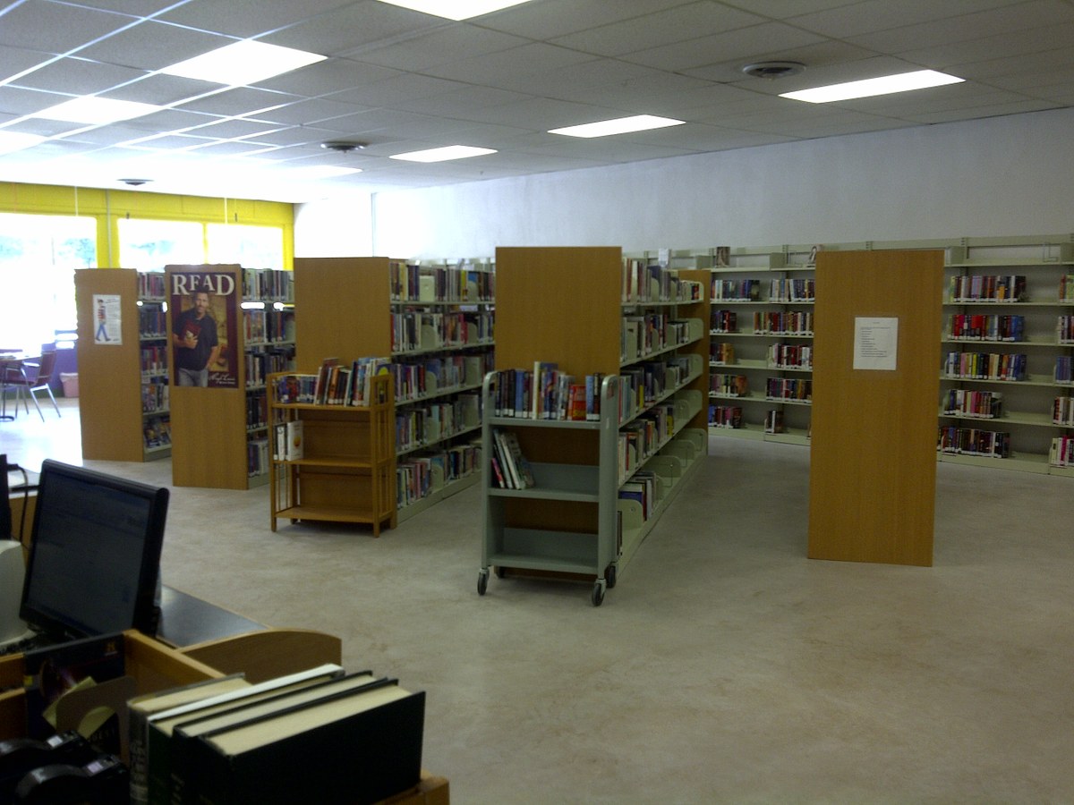 Stage 1 of Renovation Project Complete — Chico Public Library, Inc